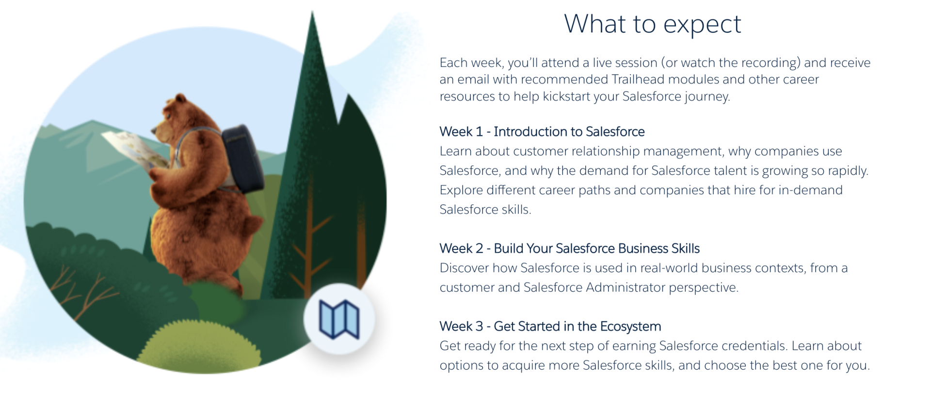 Free Salesforce Training Resources for Beginners - Phaneendra Arigachetta