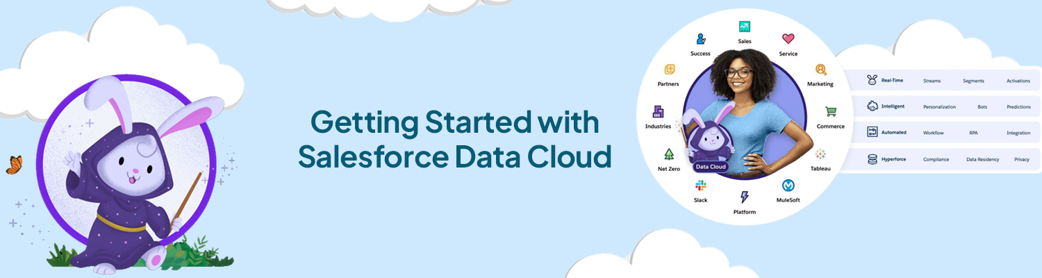 Getting Started with Salesforce Data Cloud - Phaneendra Arigachetta